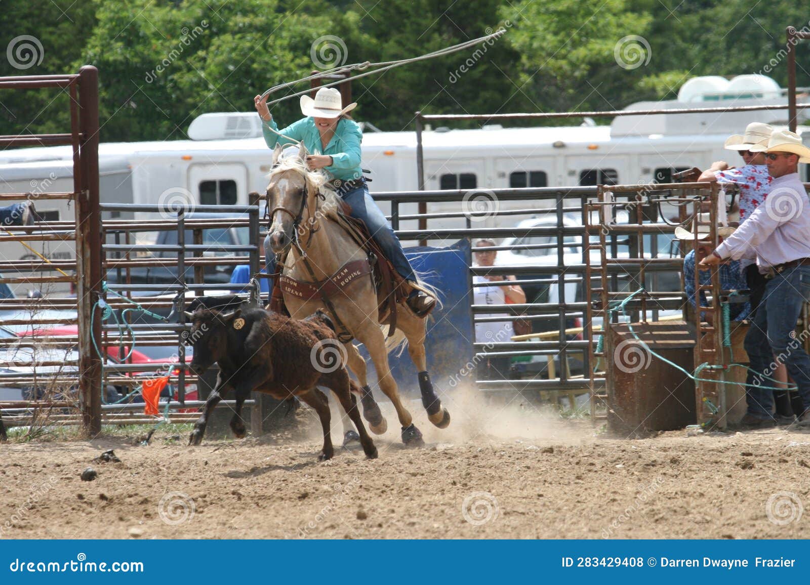 Fordland Rodeo 2023 LI editorial stock photo. Image of german - 283429408