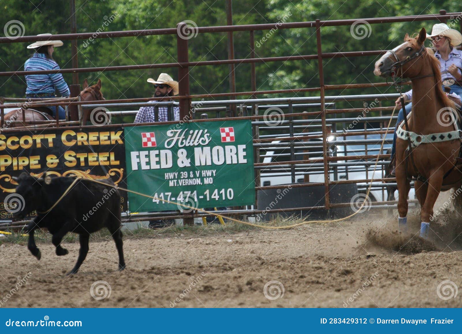 Fordland Rodeo 2023 LVI editorial photography. Image of mare - 283429312