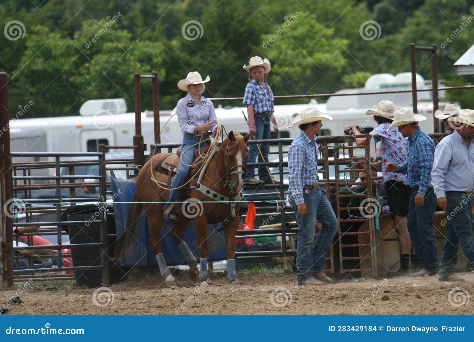 Fordland Rodeo 2023 XXXXV editorial stock image. Image of stallion ...