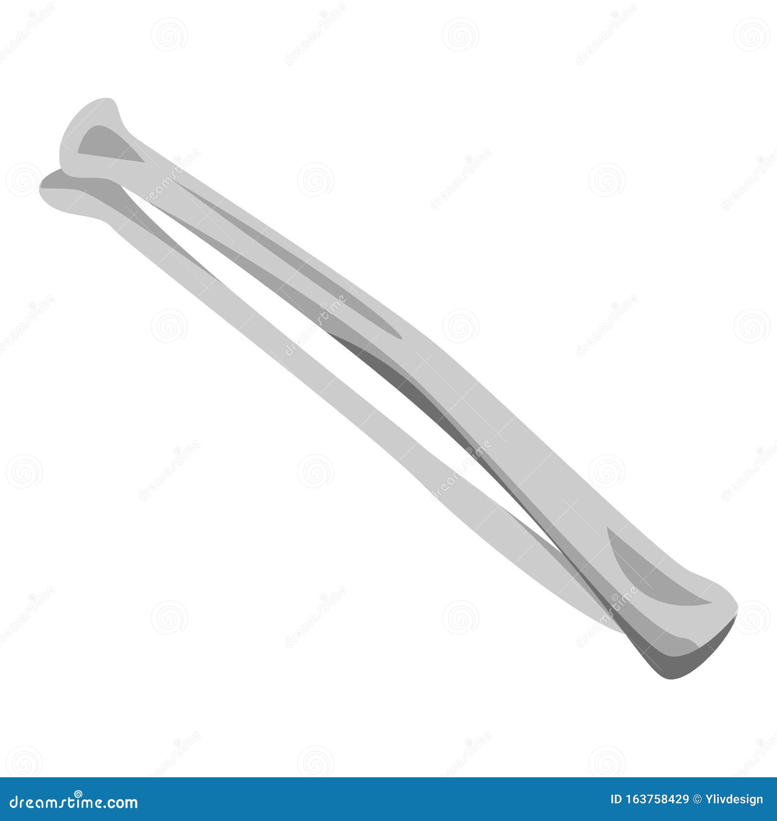 Forearm Bone Icon, Isometric Style Vector Illustration | CartoonDealer ...