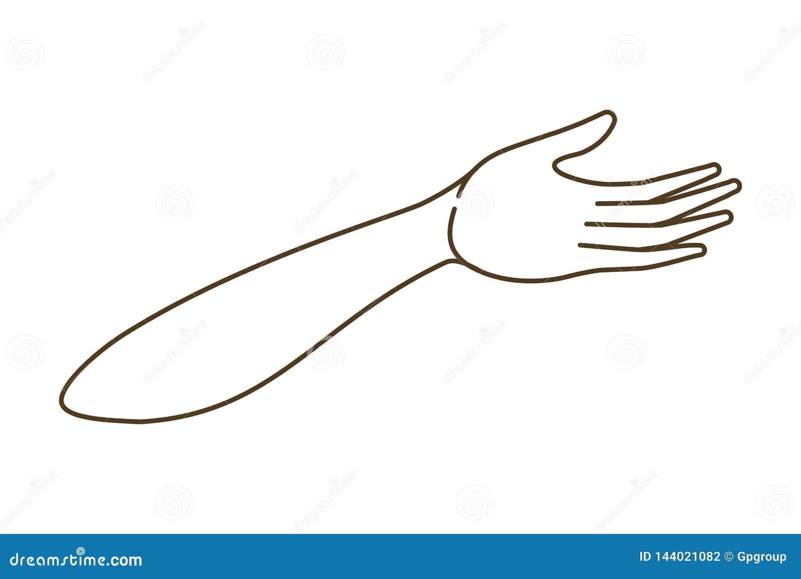 Arm Forearm And Hand Bones Isolated Vector Illustration Drawing Hand ...