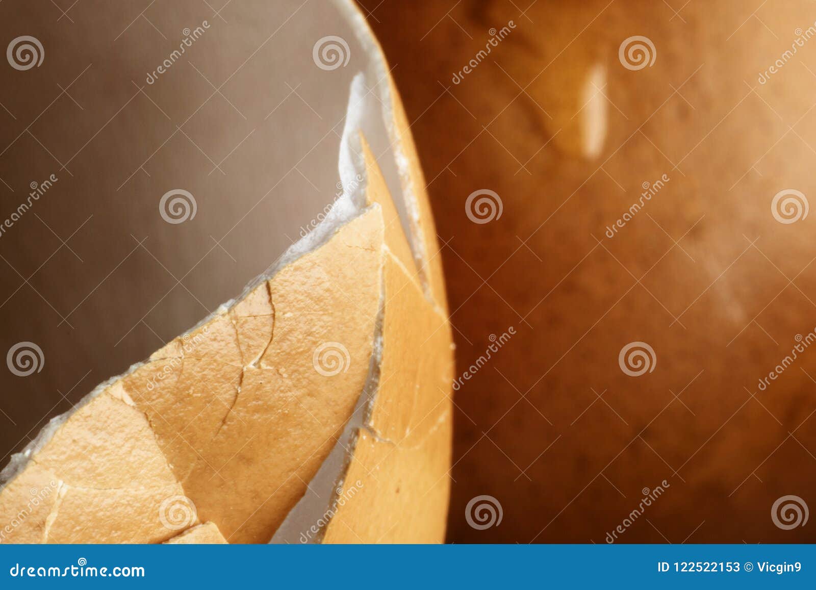 Broken eggshell close-up stock image. Image of shell - 122522153