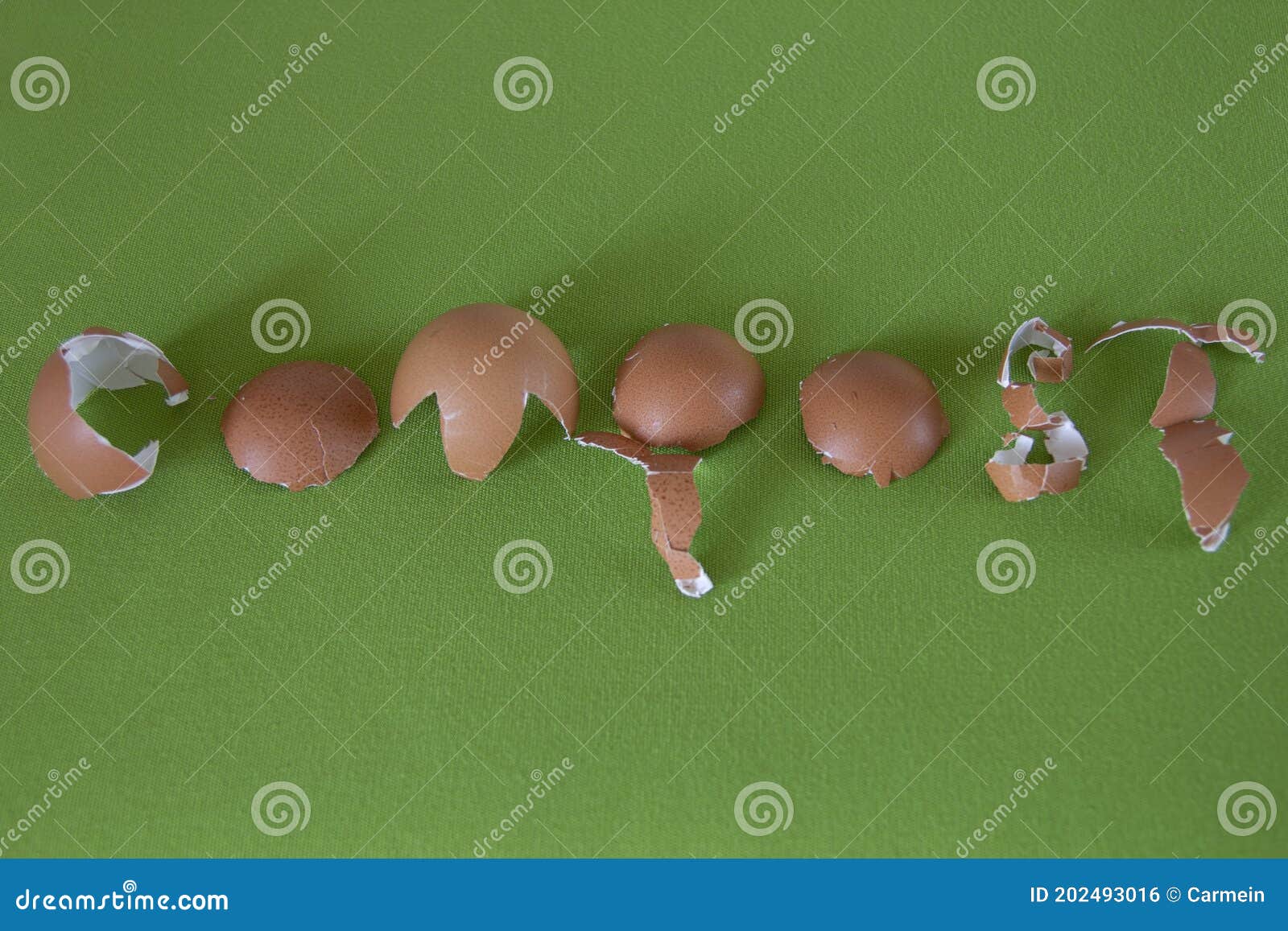 Word Compost On Moss, Green Grass Background. Top View. Banner ...