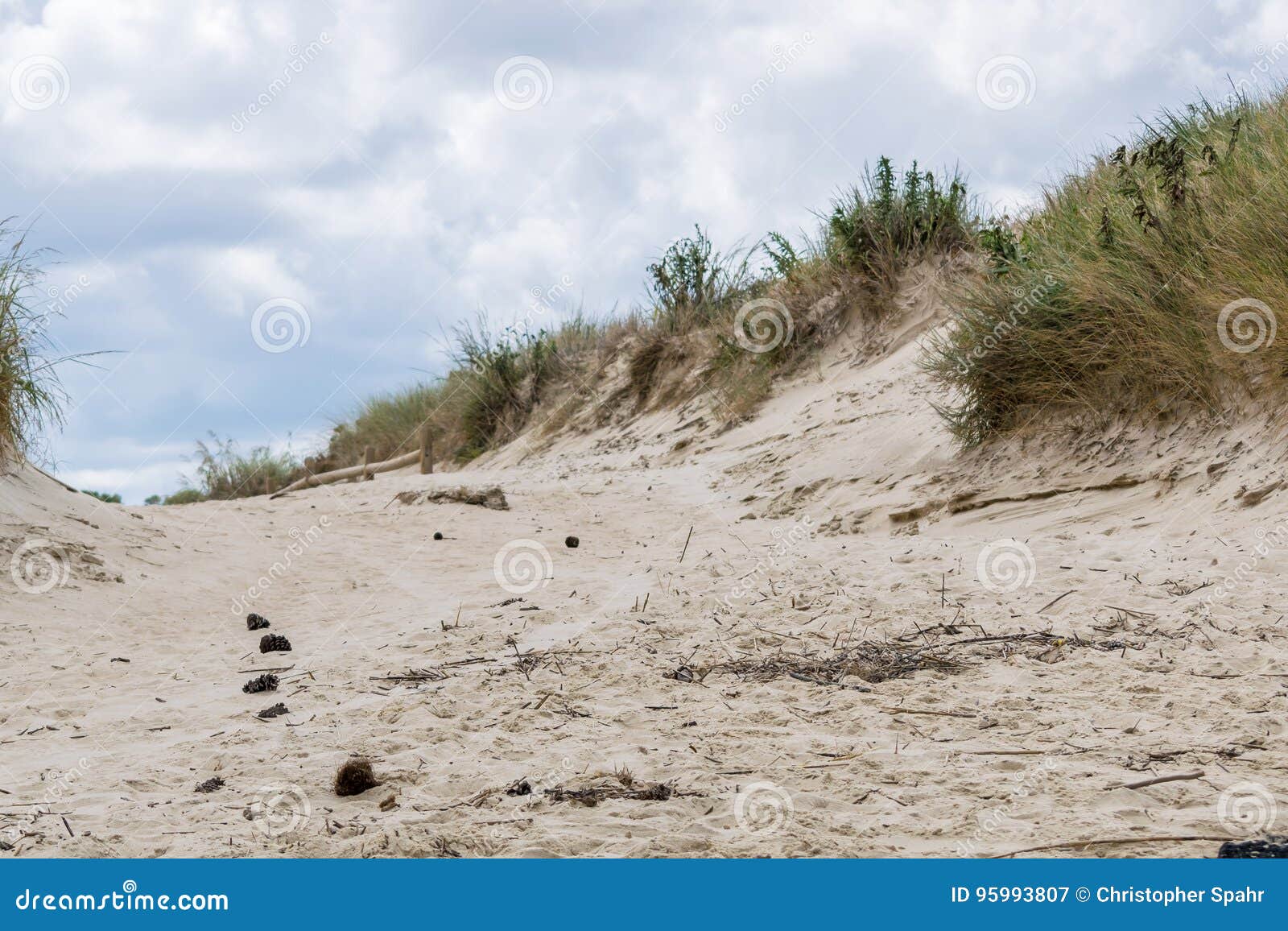 Foreground Focused Sand Dune Path at the Beach Stock Image - Image of ...