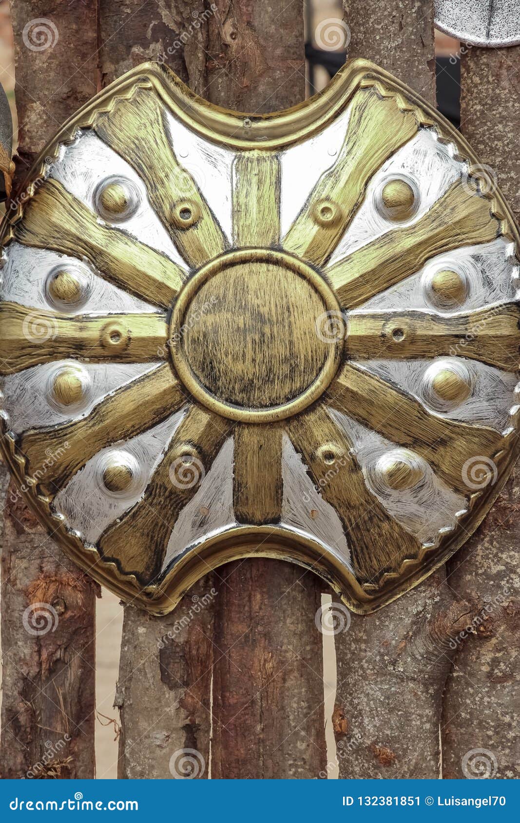 Medieval Shield Foreground Over Tree Trunks Stock Image - Image of ...