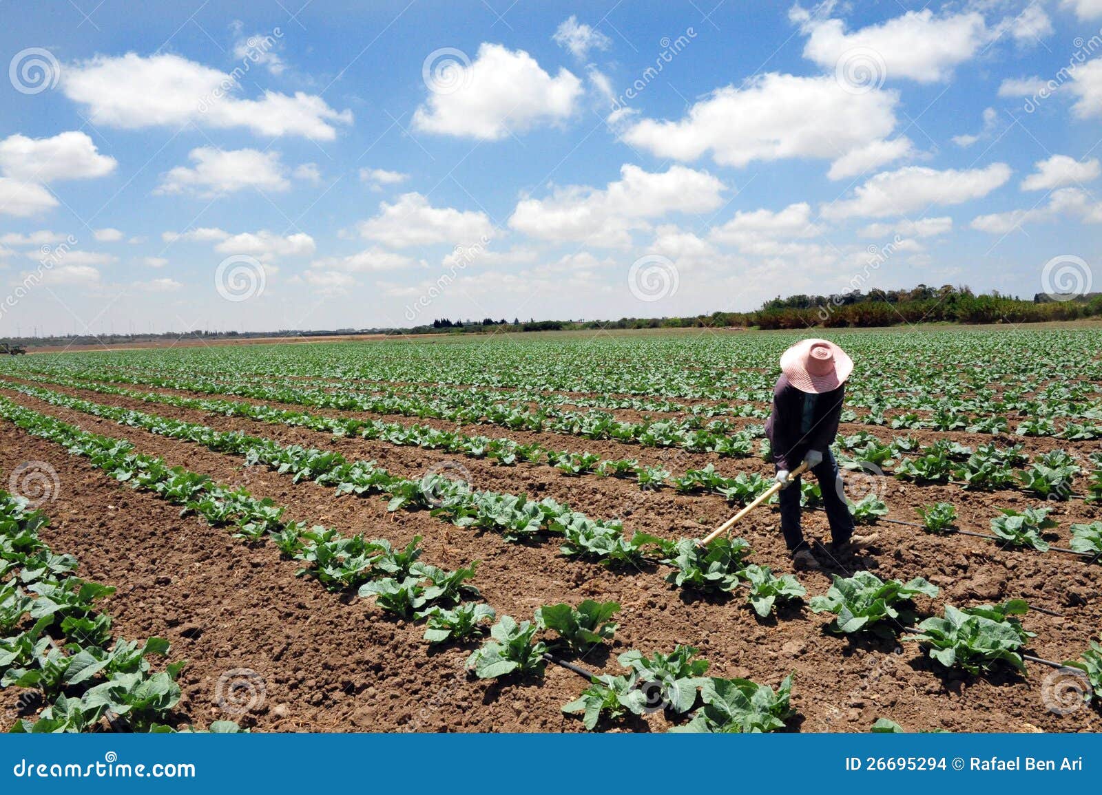 Foreign Thai Worker in Israel Editorial Stock Image - Image of chinese ...