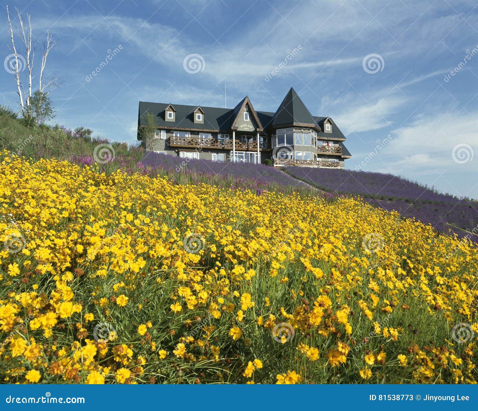 Foreign Trip editorial stock photo. Image of recreation - 81538773