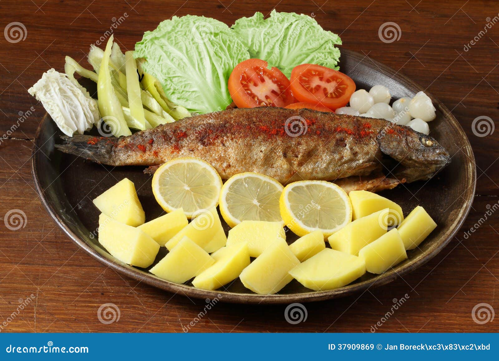 Forell (Oncorhynchus MIKISS) Fotografering för Bildbyråer - Bild av ...