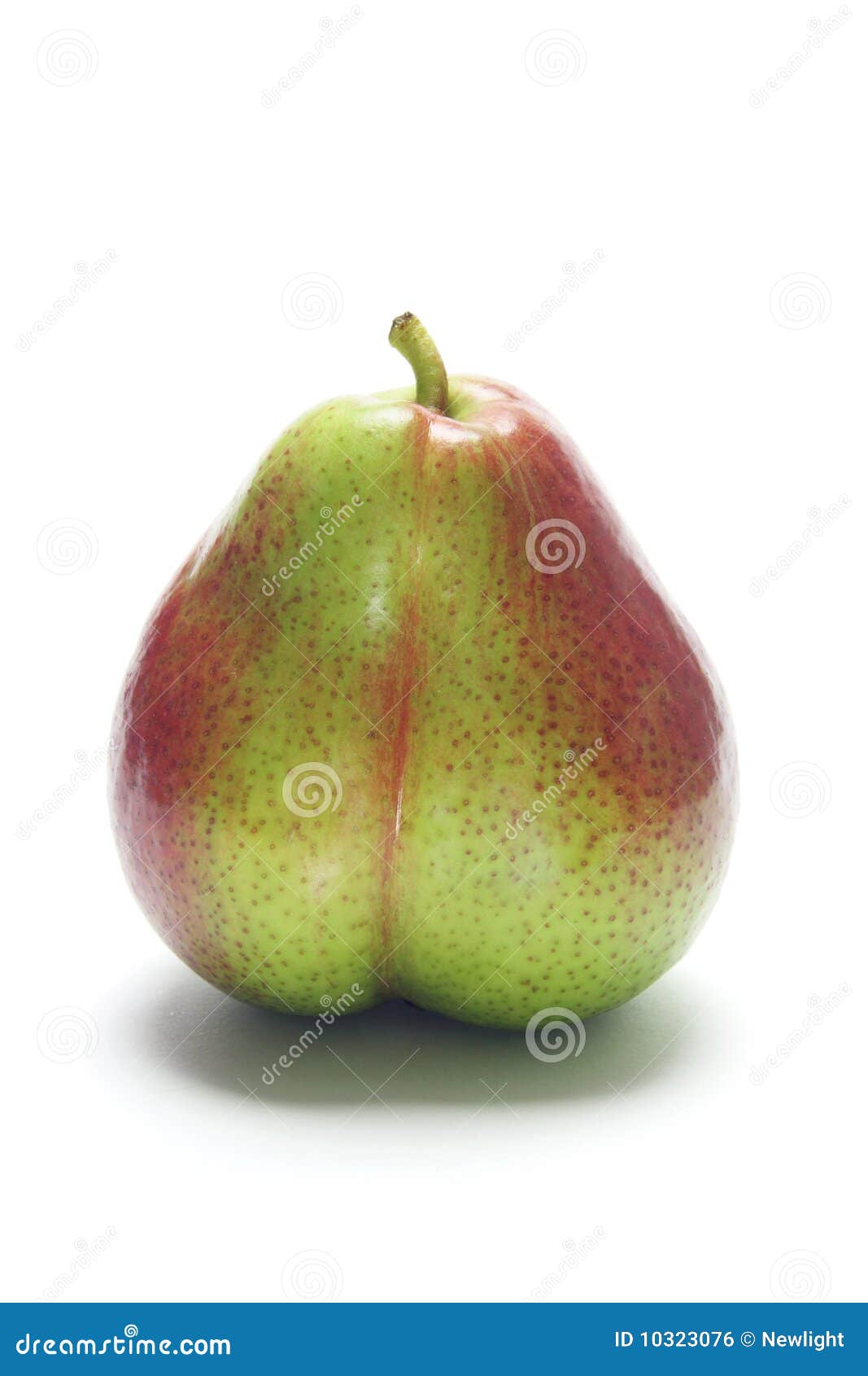 Forelle Pear stock photo. Image of fibre, organic, juicy - 10323076