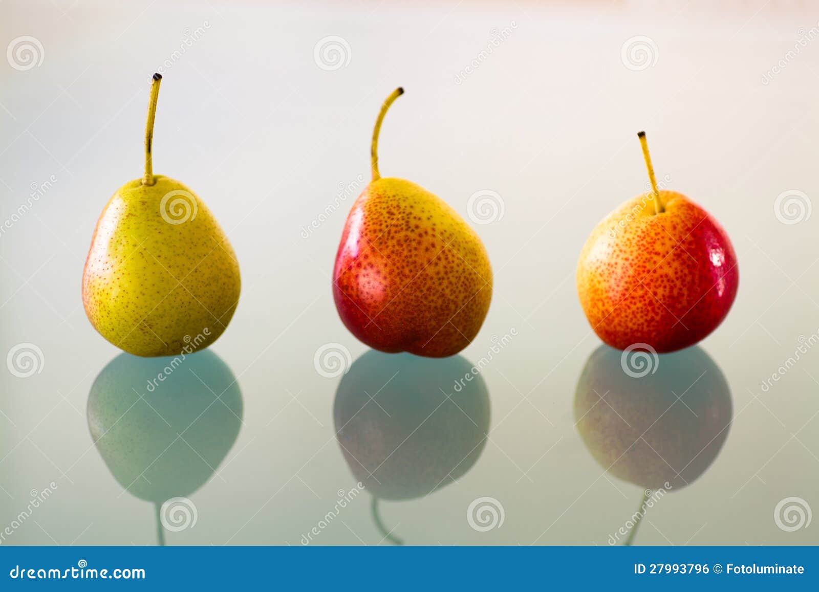 Forelle pears stock photo. Image of sweet, fruit, healthy - 27993796