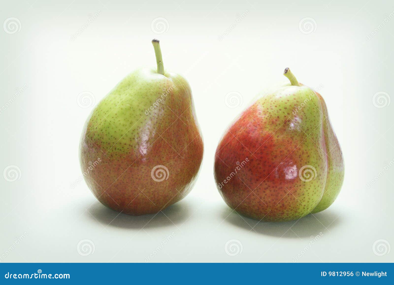 Forelle Pears stock photo. Image of fibre, produce, dietary - 9812956