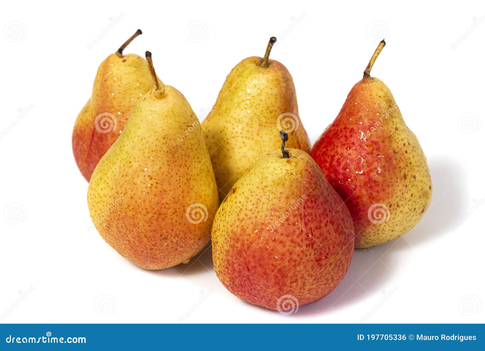 Forelle Red and Yellow Pears Stock Photo - Image of drops, forelle ...