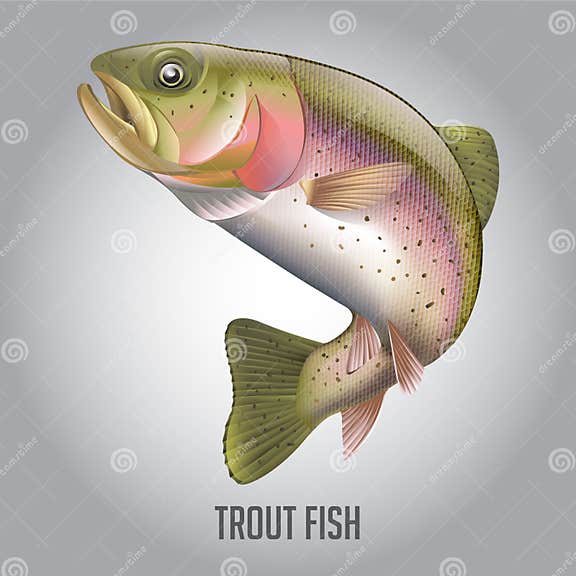 FORELLE Vektor-Illustration Vektor Abbildung - Illustration von broschüre, gold: 112498178