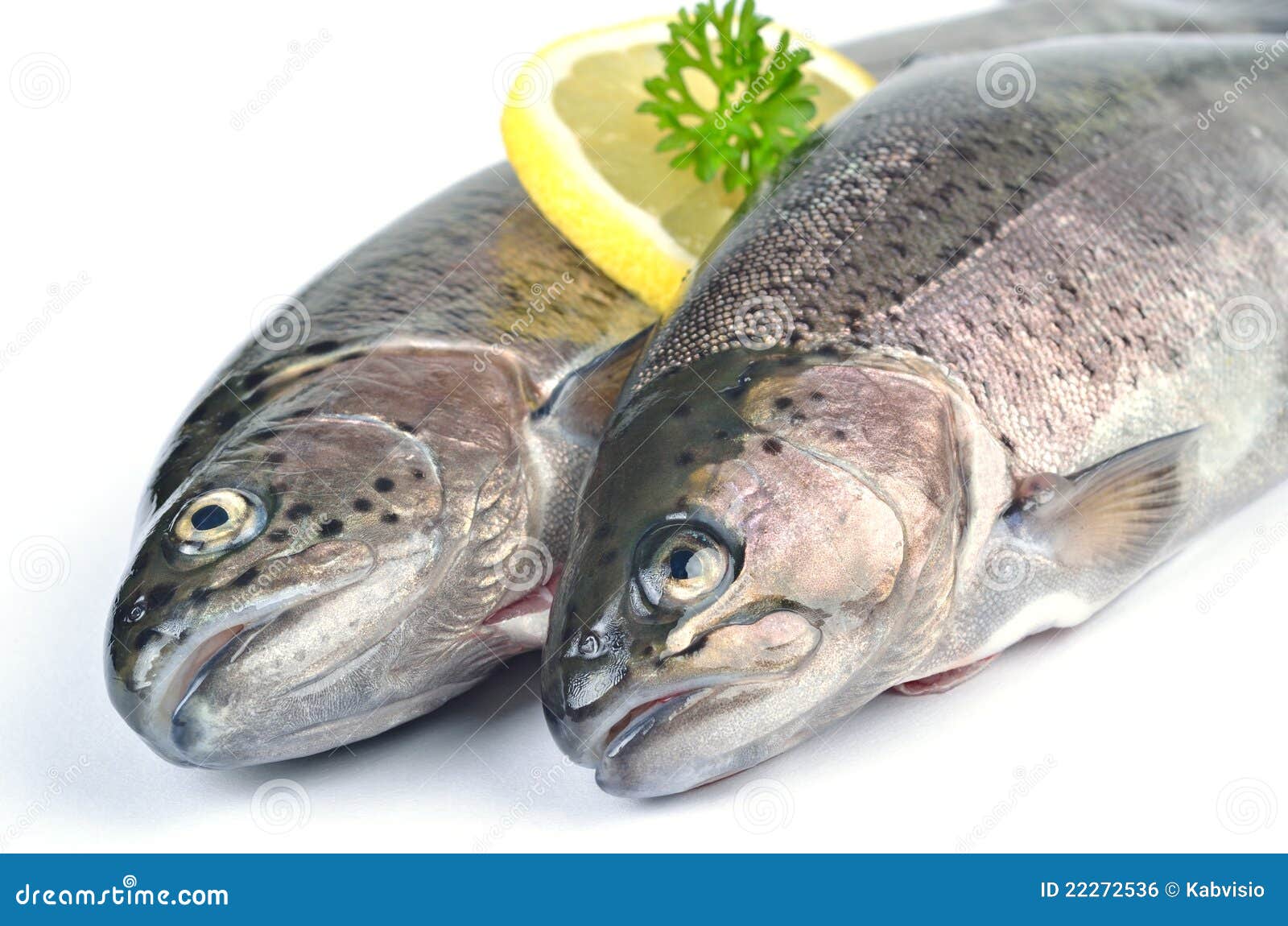 Foreller två arkivfoto. Bild av för, fena, fiskeri - 22272536