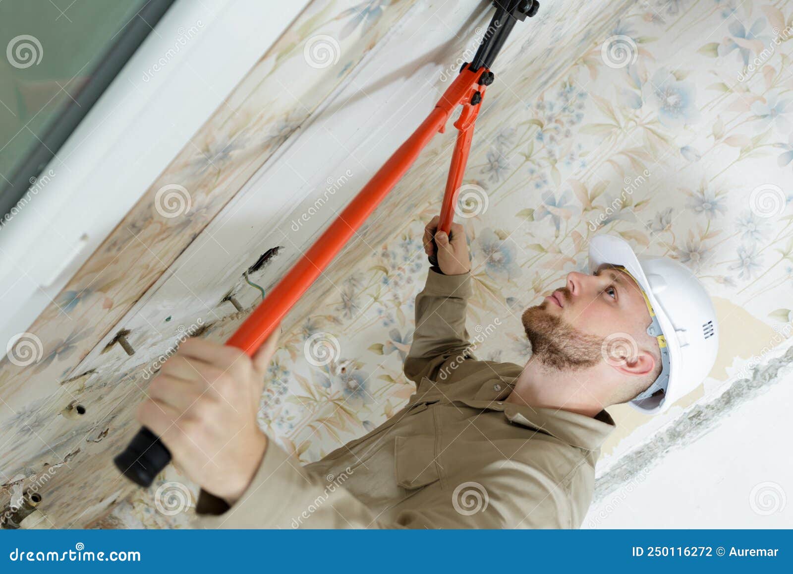 Foreman with helmet stock photo. Image of cutter, occupation - 250116272