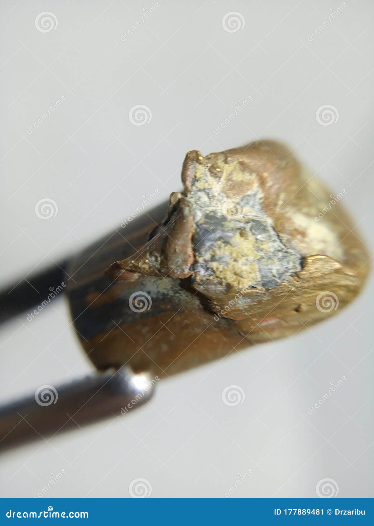 Forensic Ballistic Examination Stock Image - Image of animal, metal ...