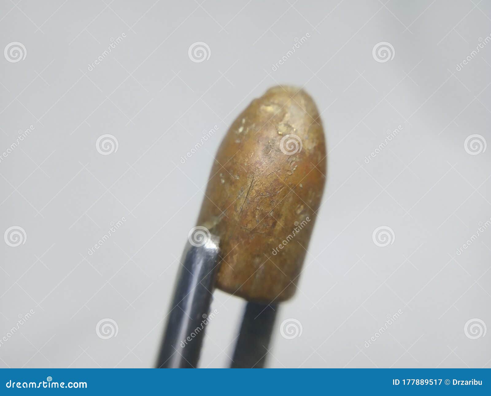 Forensic Ballistic Examination Stock Image - Image of animal, iron ...