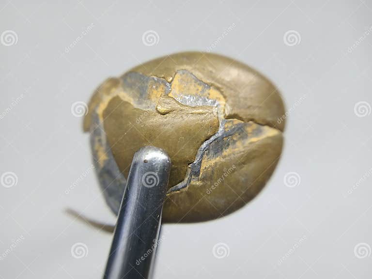 Forensic Ballistic Examination Stock Photo - Image of forensic ...