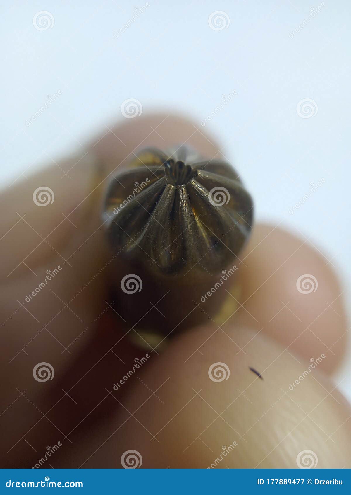 Forensic Ballistic Examination Stock Image - Image of yellow, produce ...
