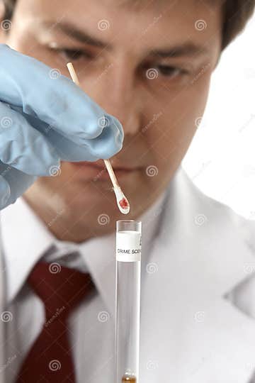 Forensic blood testing stock image. Image of adult, forensic - 7330673