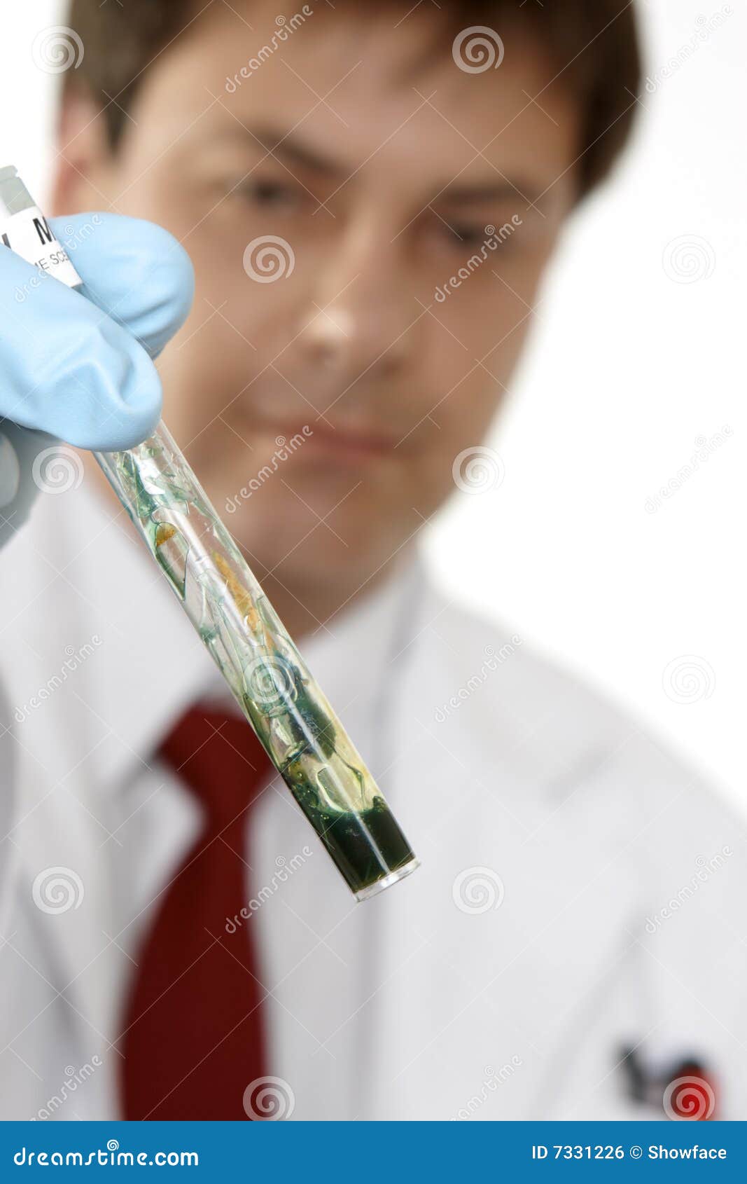 Forensic Blood Testing (final Stage) Stock Photo - Image of green ...