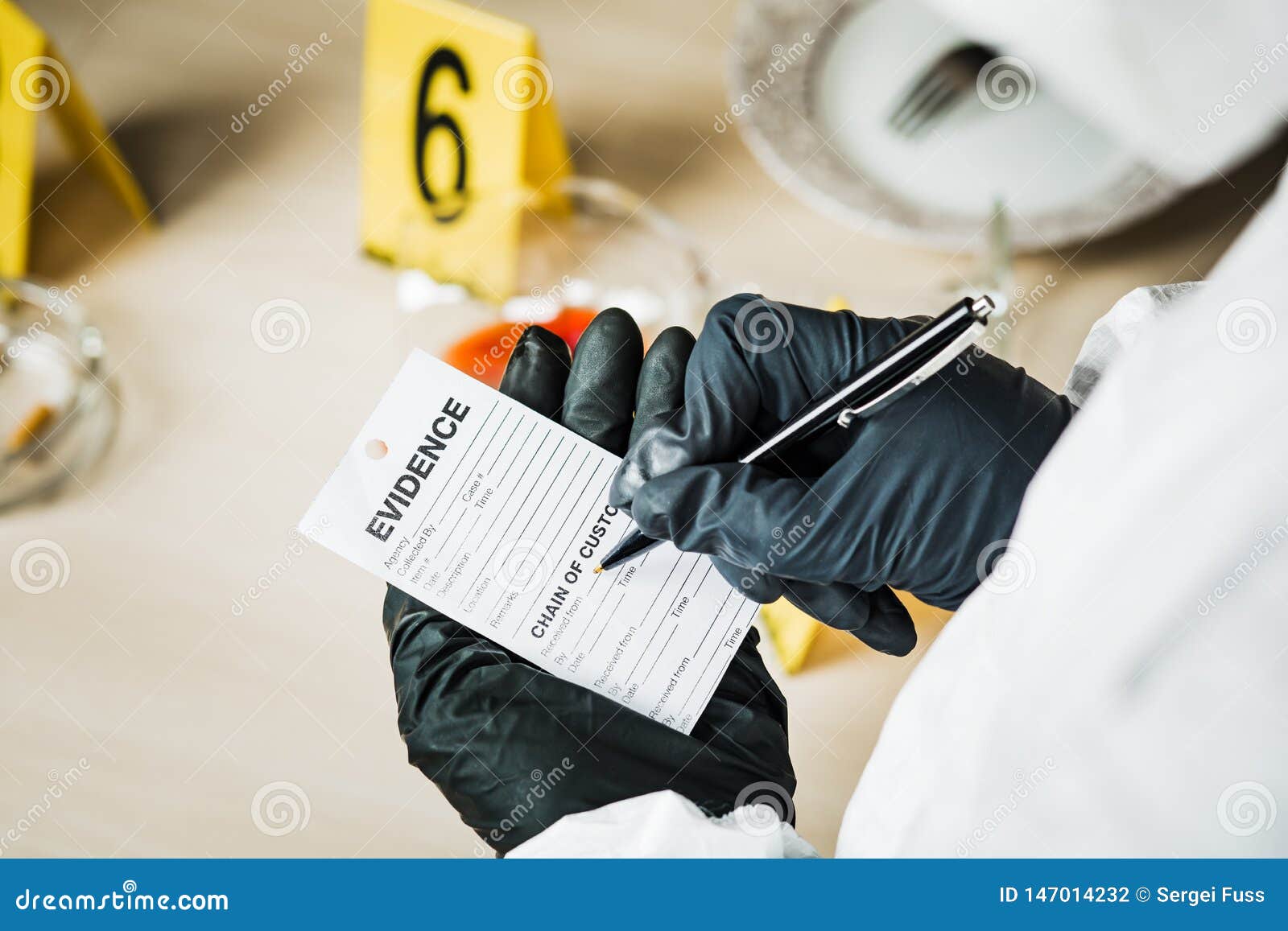 Forensic Expert Records Data in the Form of Evidence. the Concept of ...