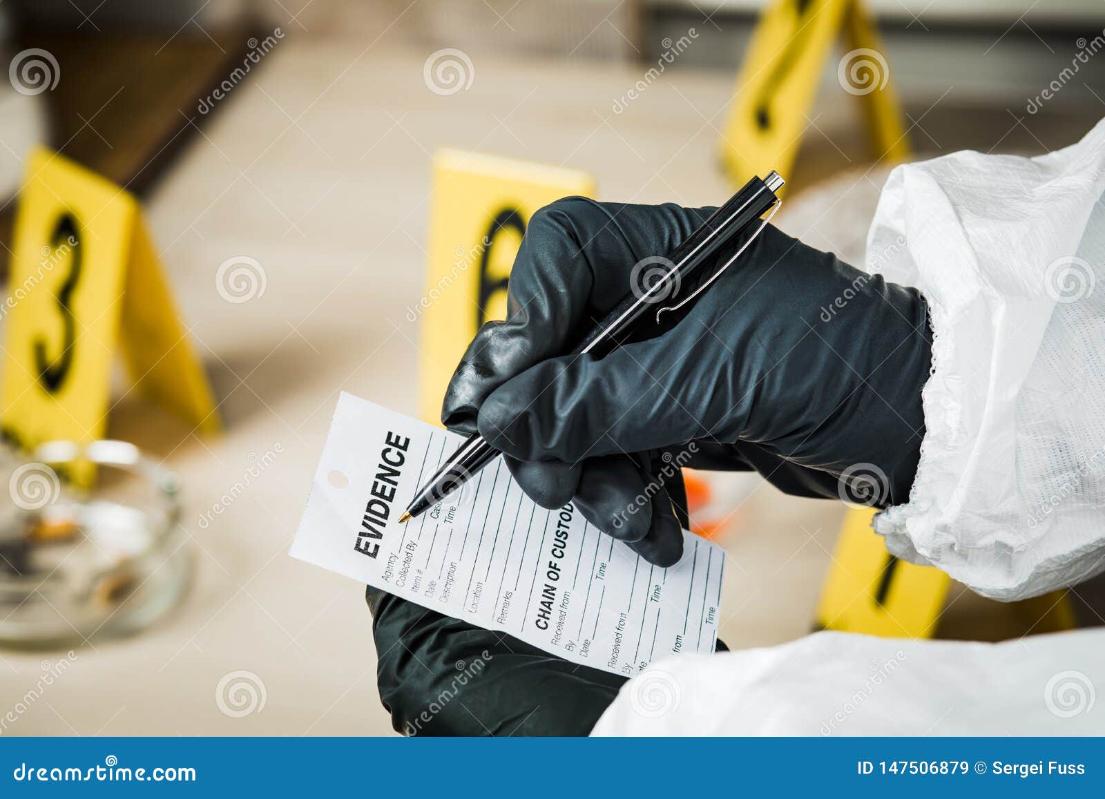 Forensic Expert Records Data in the Form of Evidence. the Concept of ...
