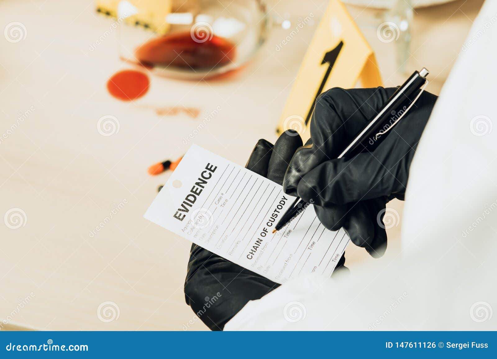 Forensic Expert Records Data in the Form of Evidence. the Concept of ...