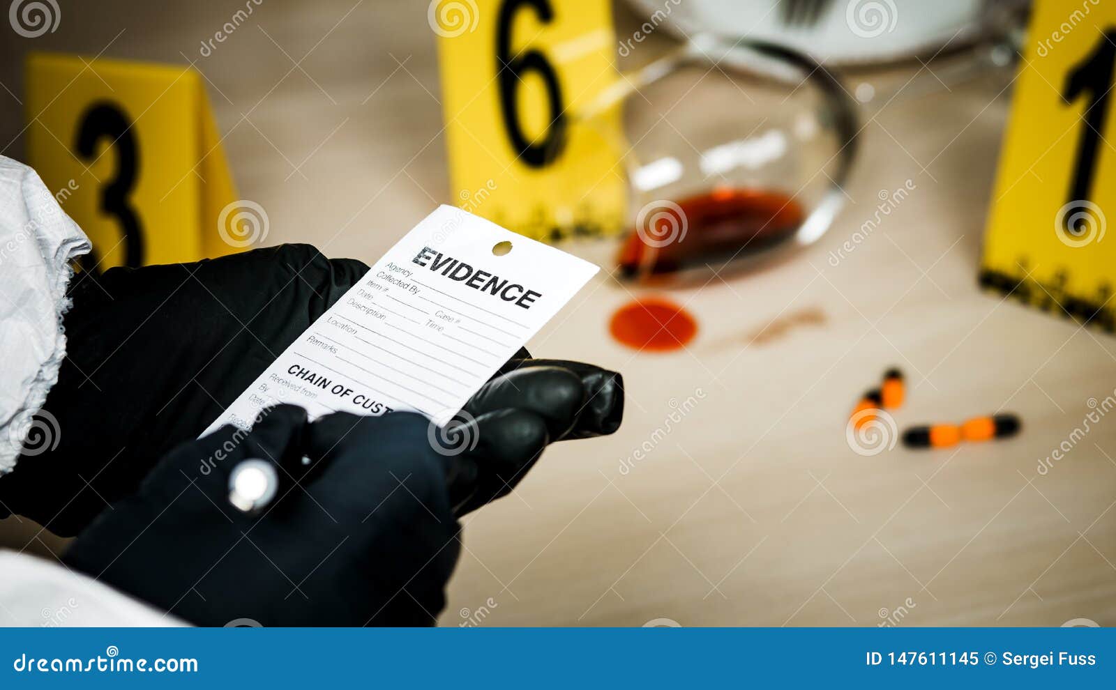 Forensic Expert Records Data in the Form of Evidence. the Concept of ...