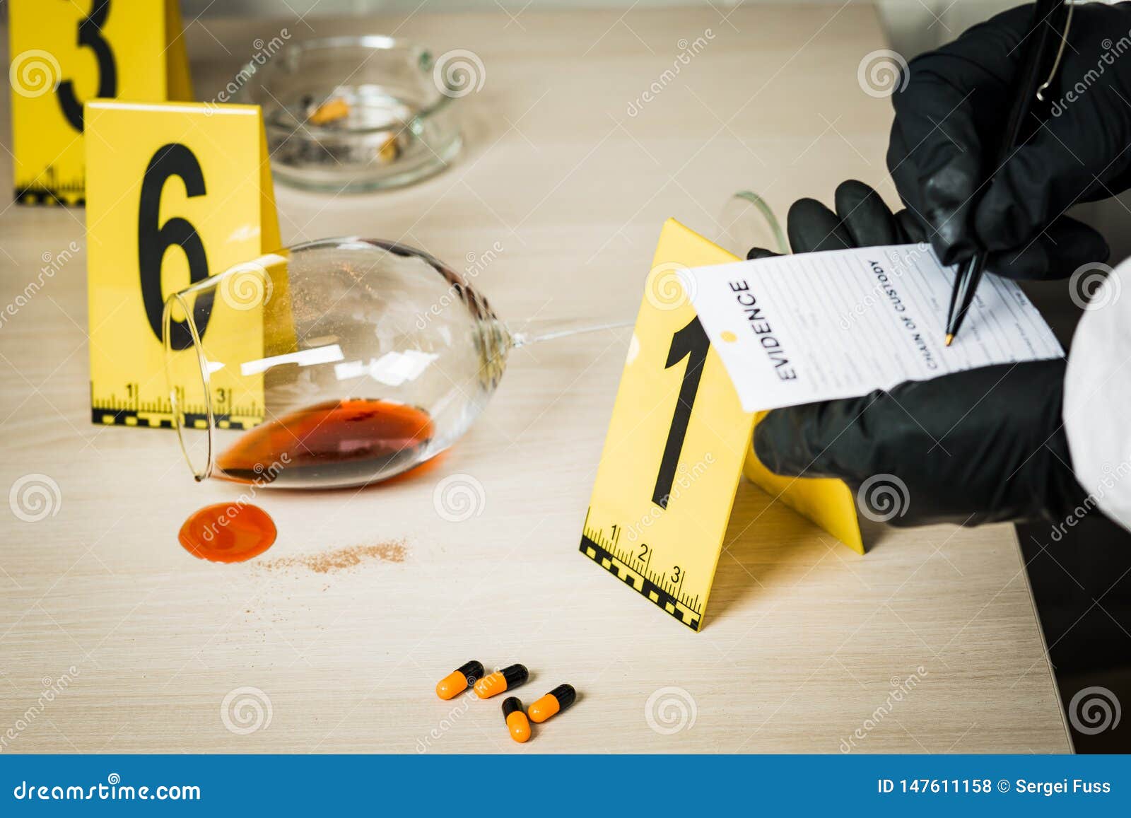 Forensic Expert Records Data in the Form of Evidence. the Concept of ...