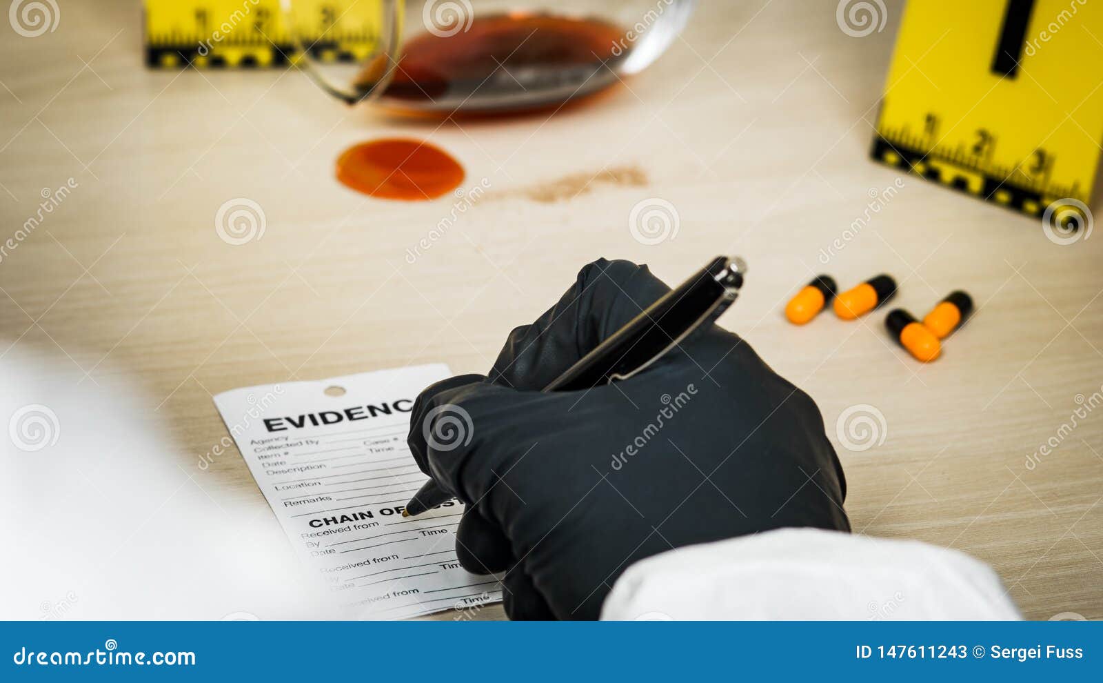 Forensic Expert Records Data in the Form of Evidence. the Concept of ...