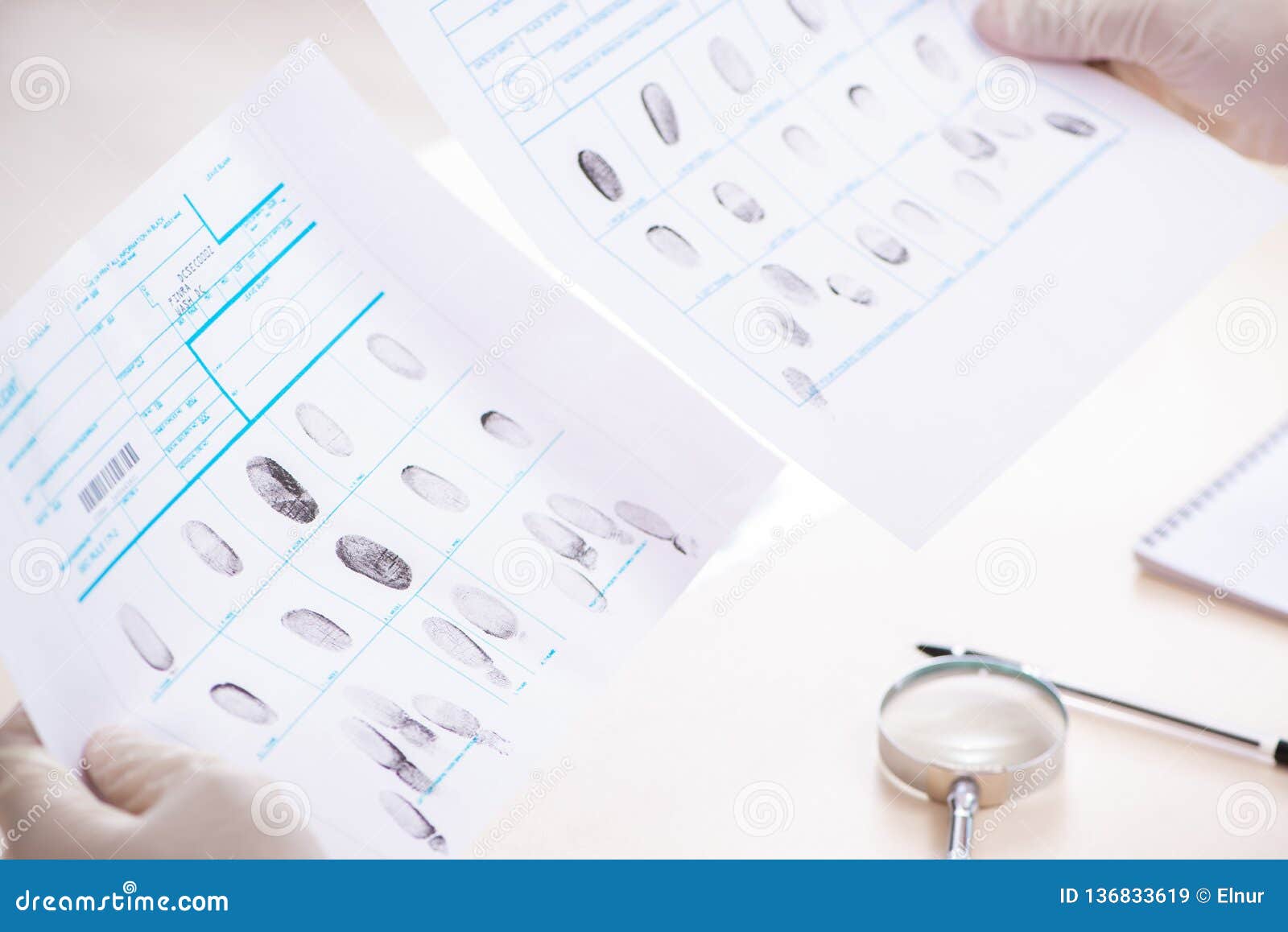 Forensic Expert Records Data In The Form Of Evidence. The Concept Of ...