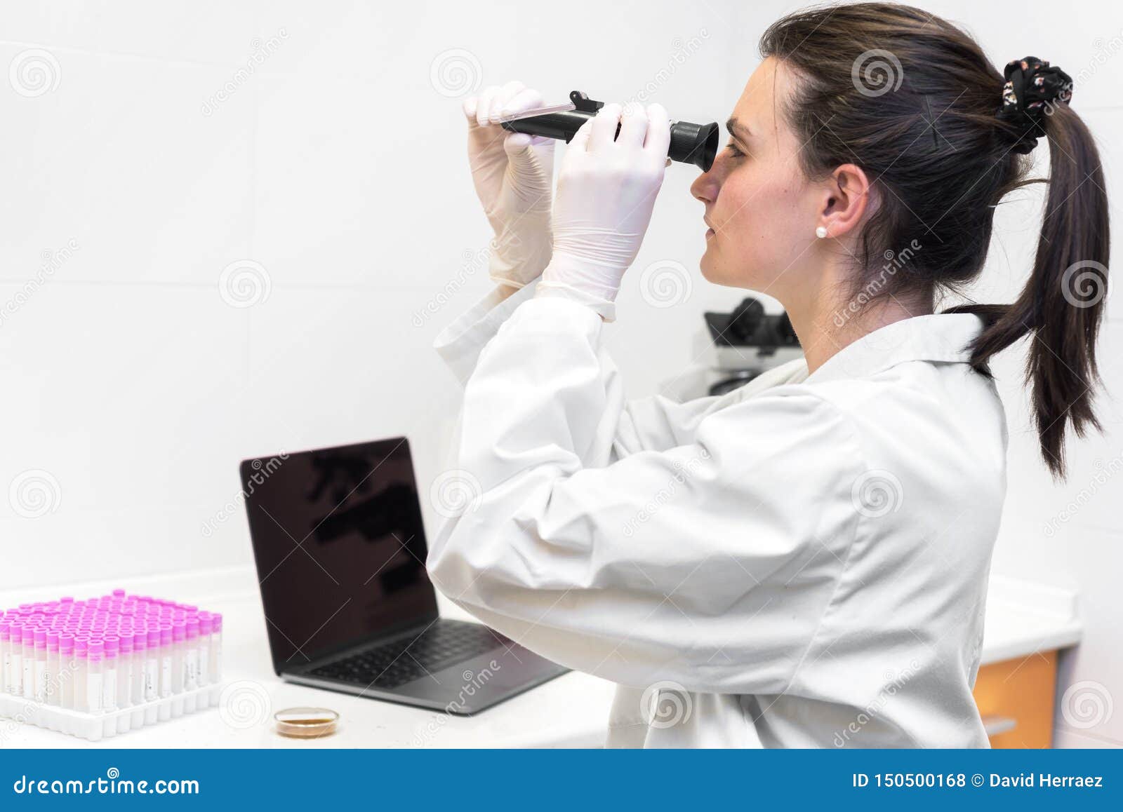 Forensic Laboratory Worker Studying Samples with Refractometer and ...