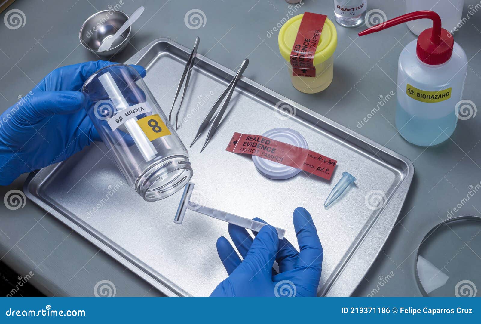 Forensic Police Take Razor Blade from Victim in Crime Lab for Analysis ...