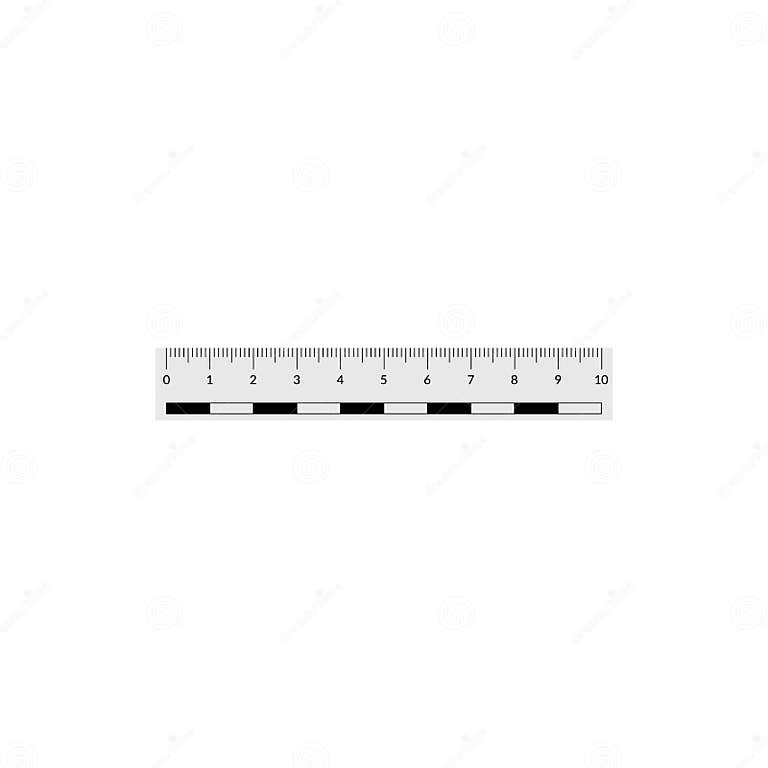 Forensic Ruler for the Measuring Stock Vector - Illustration of unit ...
