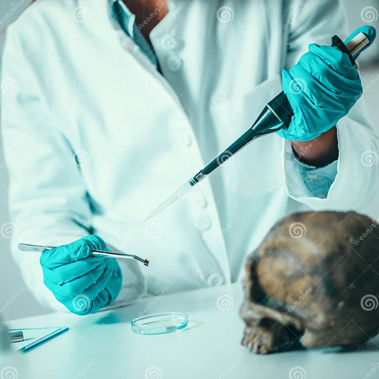 Forensic Science stock photo. Image of animal, discovery - 272733948
