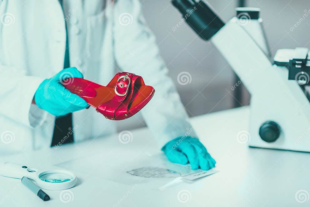 Forensic Science stock photo. Image of females, exploration - 272733580