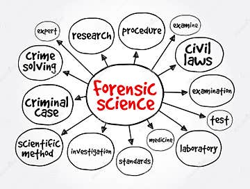 Forensic Science Mind Map, Concept for Presentations and Reports Stock ...