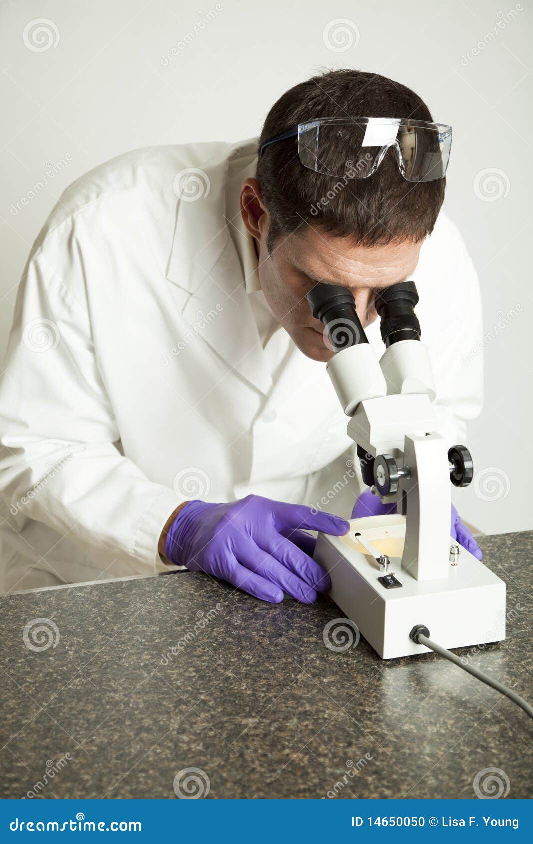 Forensic Scientist Looks at Sample Stock Photo - Image of gloves, slide ...