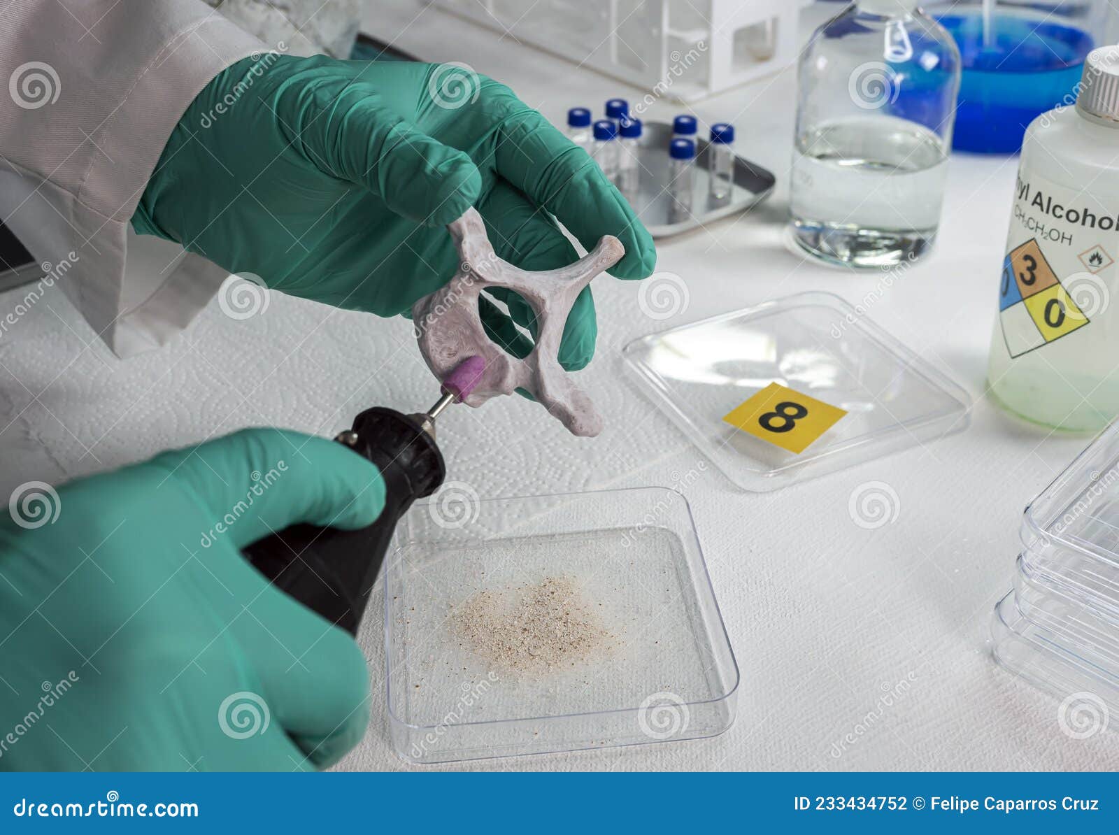 Forensic Scientist Removes Bone from Human Skeleton To Investigate ...