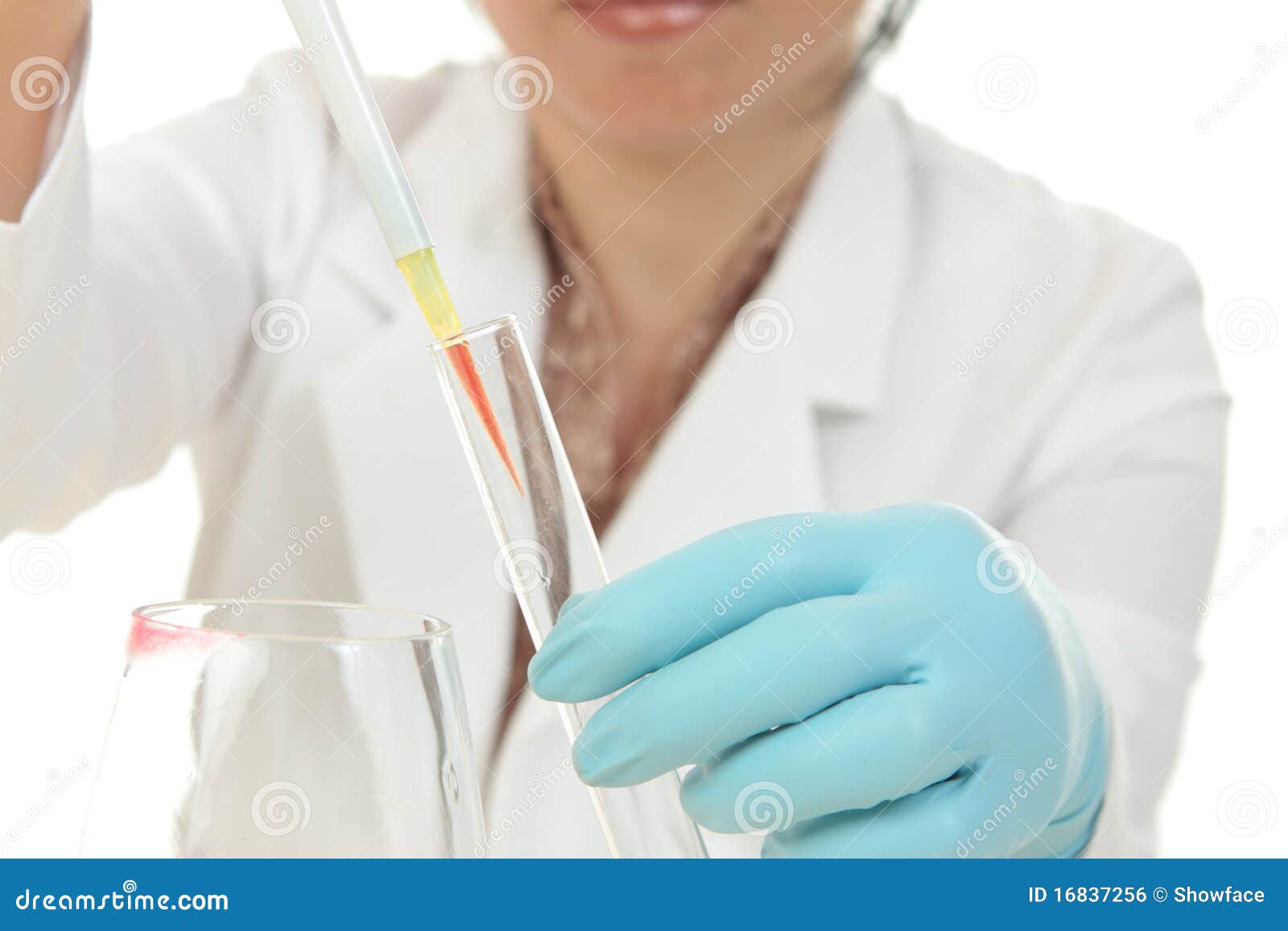 Forensic Scientist at work stock photo. Image of research - 16837256