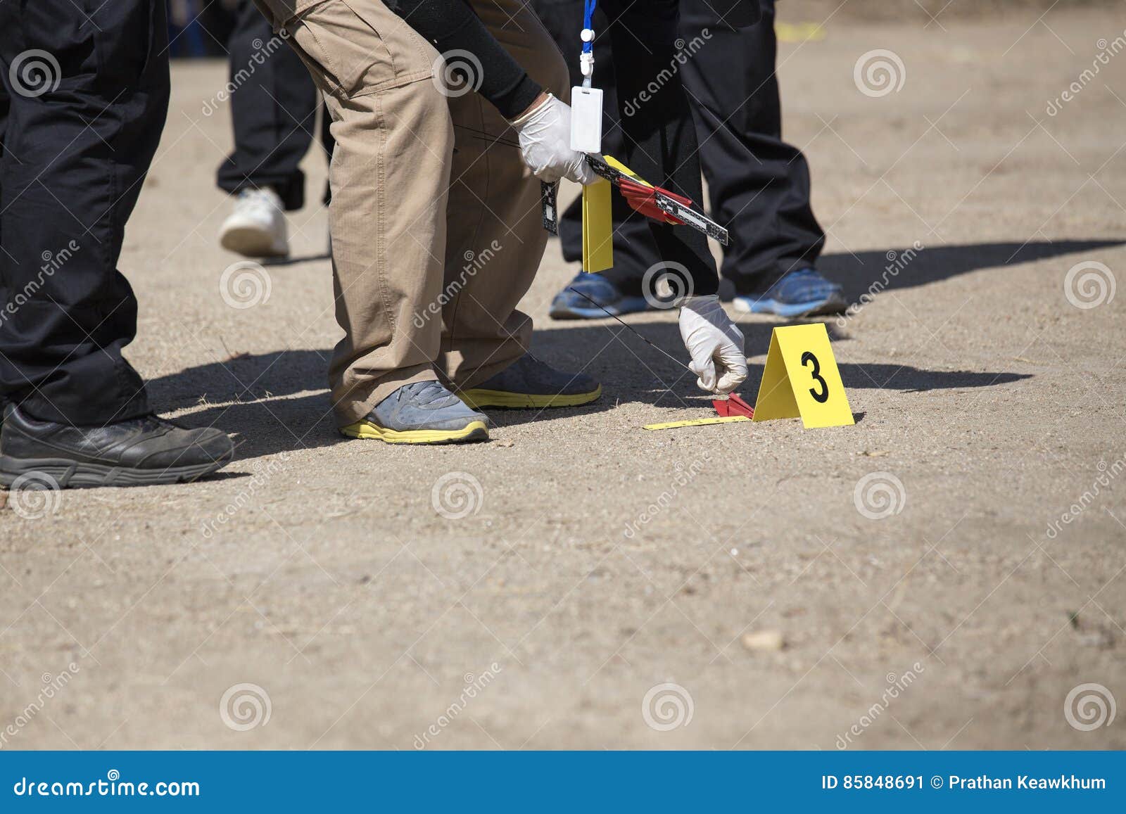 Forensic Team Searh and Evidence Marker in Crime Scene Training Stock ...