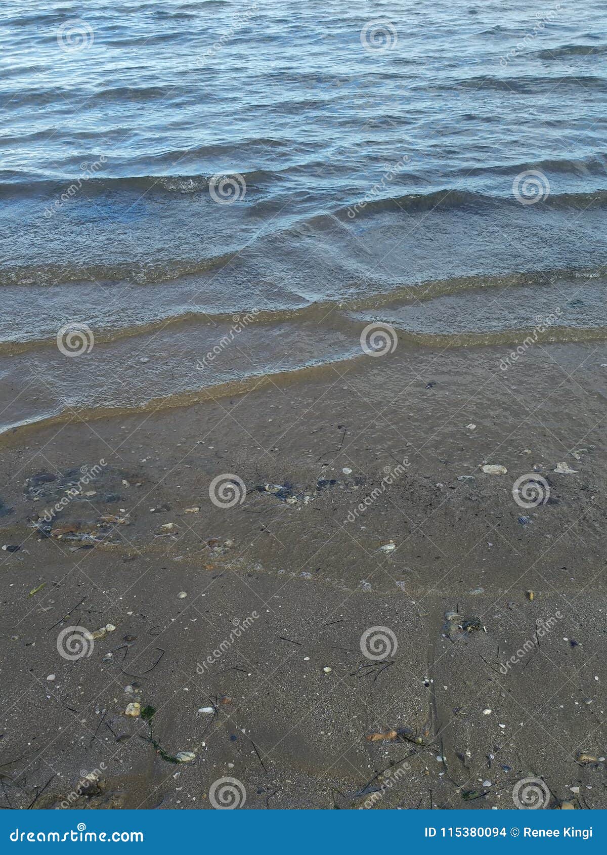 Foreshore stock photo. Image of ocean, rocks, ripples - 115380094