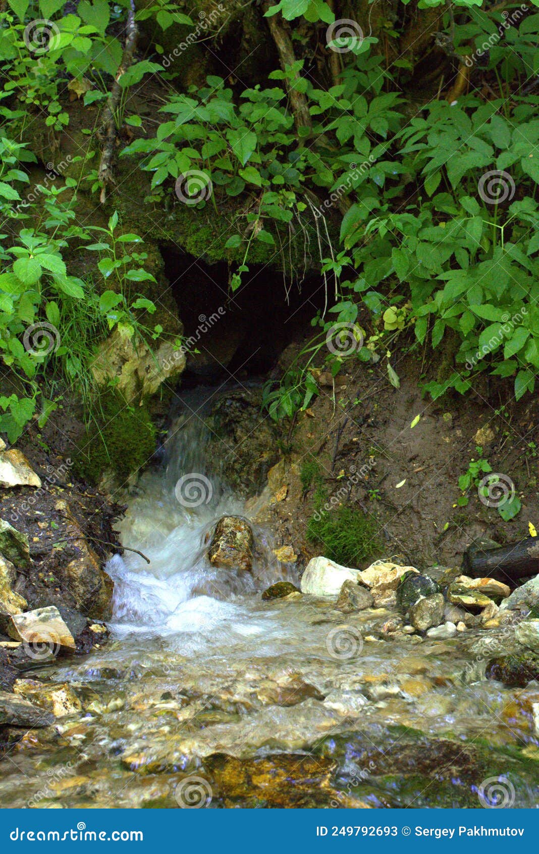 Water Spring in the Forest with a Very Cold and Very Clear Water Stock ...