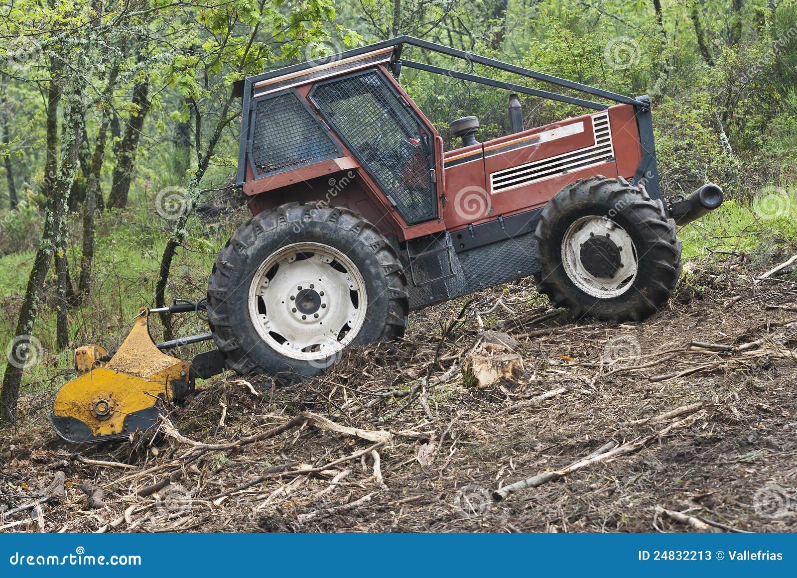 Forest stock image. Image of roller, cutting, tree, tractor - 24832213