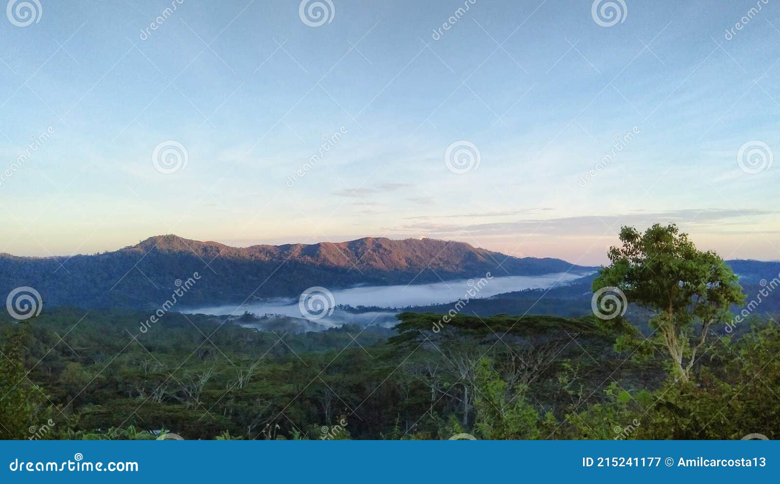 Forest Above Clouds in Letefoho, Timor-Leste. Stock Image - Image of ...