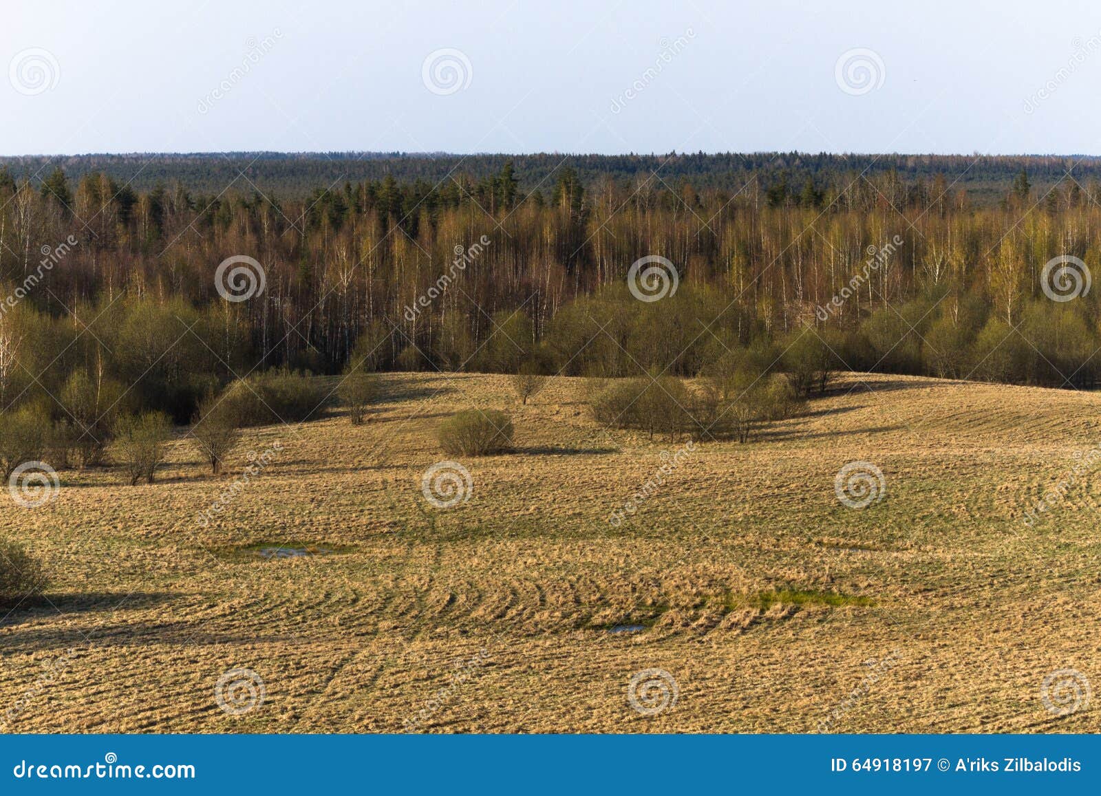 Forest from above stock image. Image of nature, landscaped - 64918197