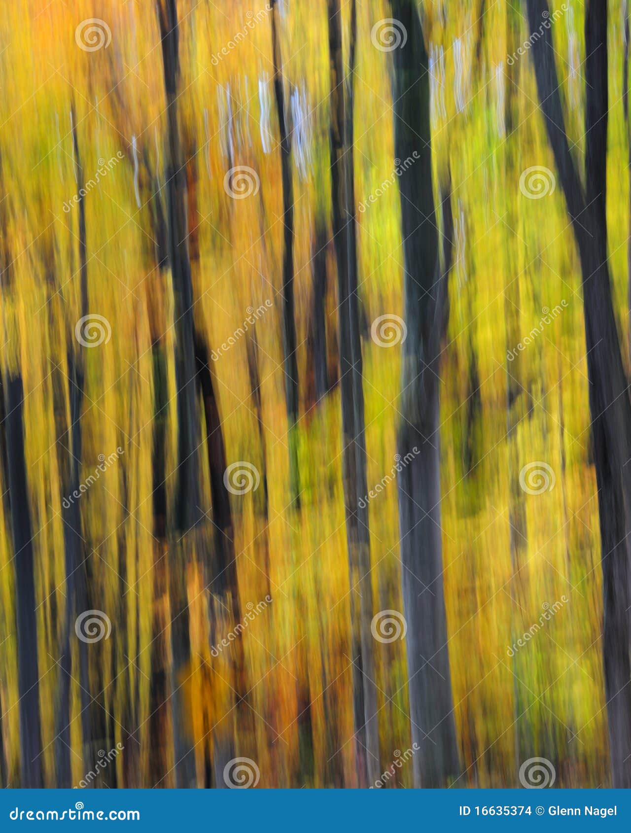 Forest abstract stock photo. Image of orange, nature - 16635374