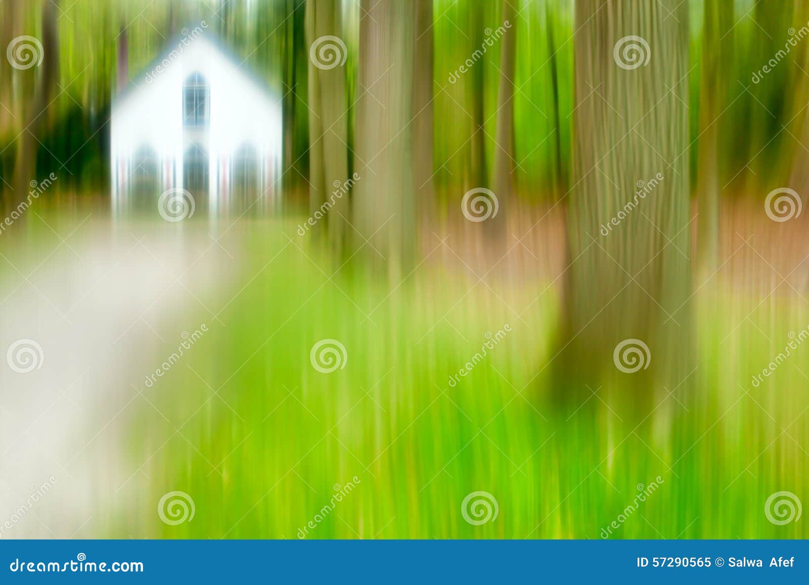 Forest Abstract stock image. Image of abstract, pictorialism - 57290565