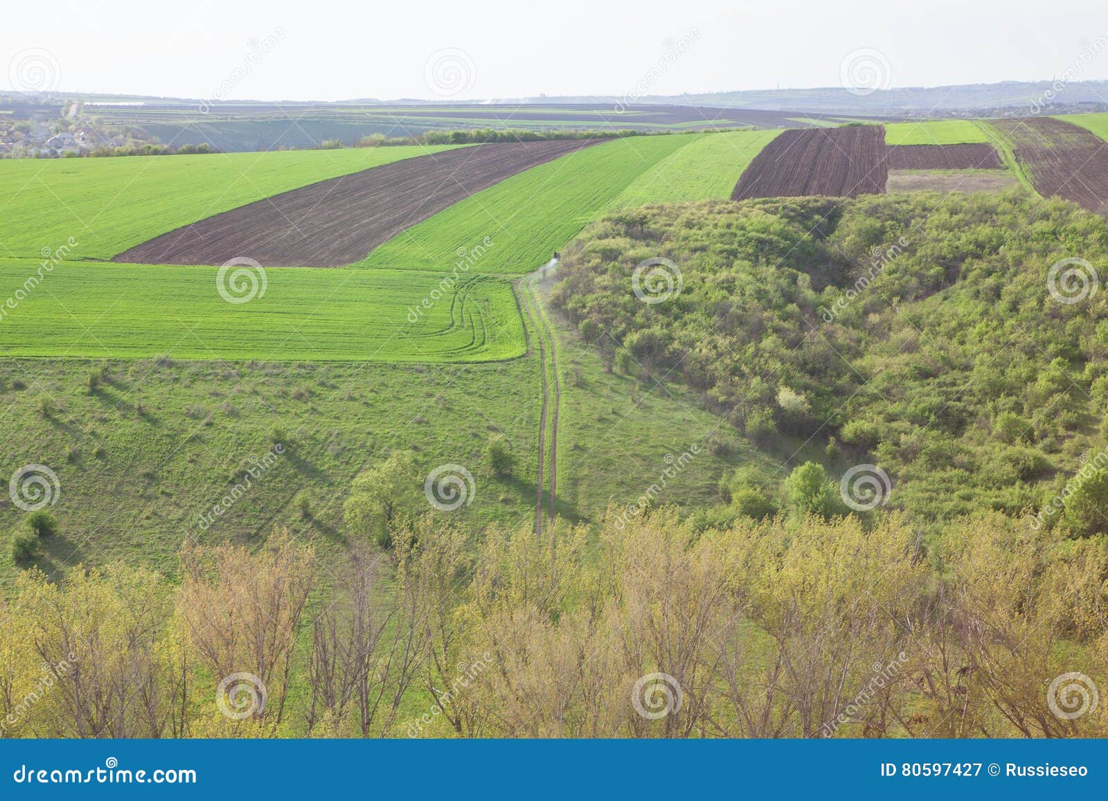 Forest and Agricultural Fields Stock Image - Image of country, season ...